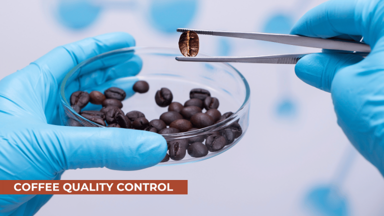 Instant Coffee Manufacturing Process - The Manufacturing Process Of ...