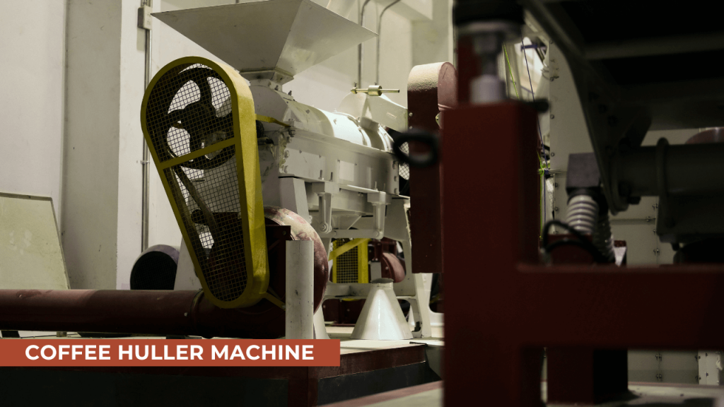 From Cherry To Cup: Navigating The Coffee Processing Flow Chart