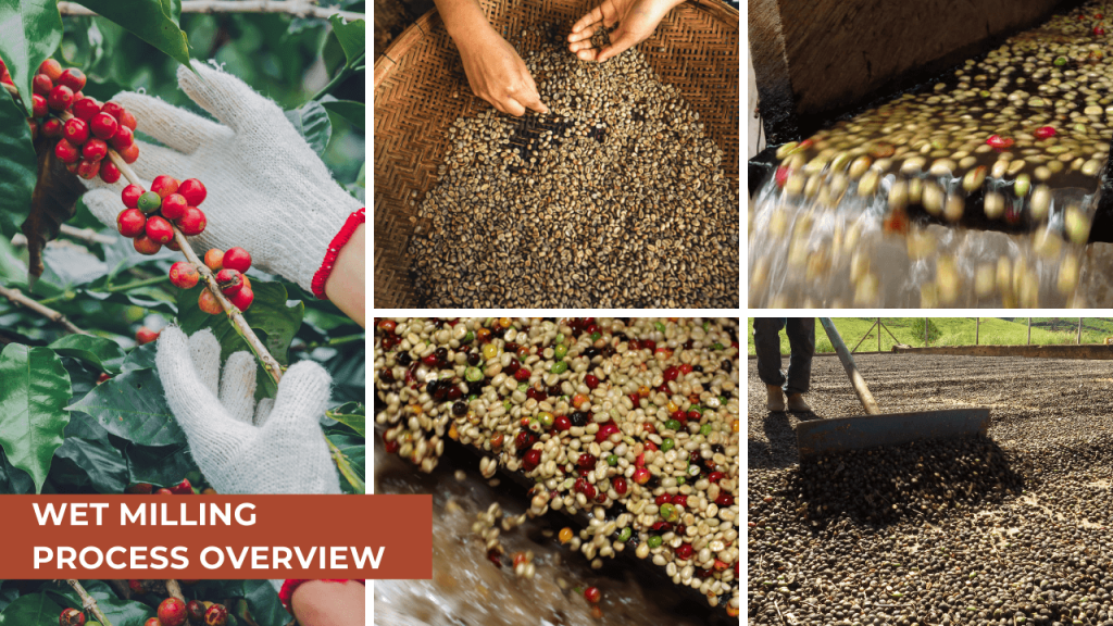 Wet Milling Process