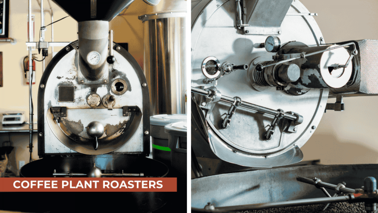 Coffee Plant Roaster: An In-Depth Guide