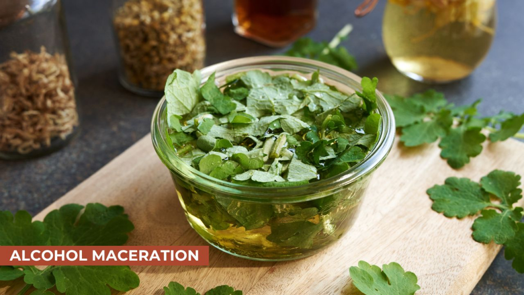 Decoction Extraction: A Comprehensive Guide To The Ancient And Modern ...